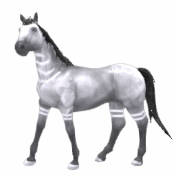 Meta Horse | Digital Horse Racing