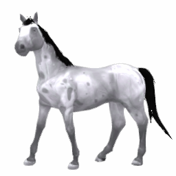 Meta Horse | Digital Horse Racing