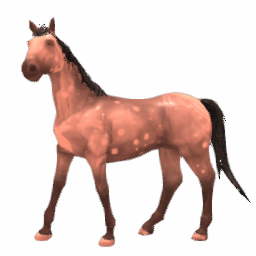 Meta Horse | Digital Horse Racing