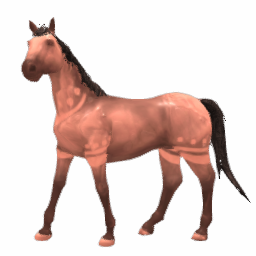Meta Horse | Digital Horse Racing