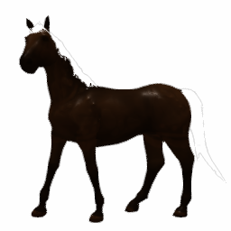 Meta Horse | Digital Horse Racing